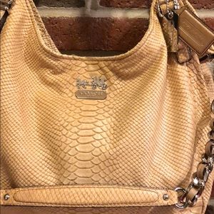 Coach | Bags | Coach Madison Python Bag | Poshmark